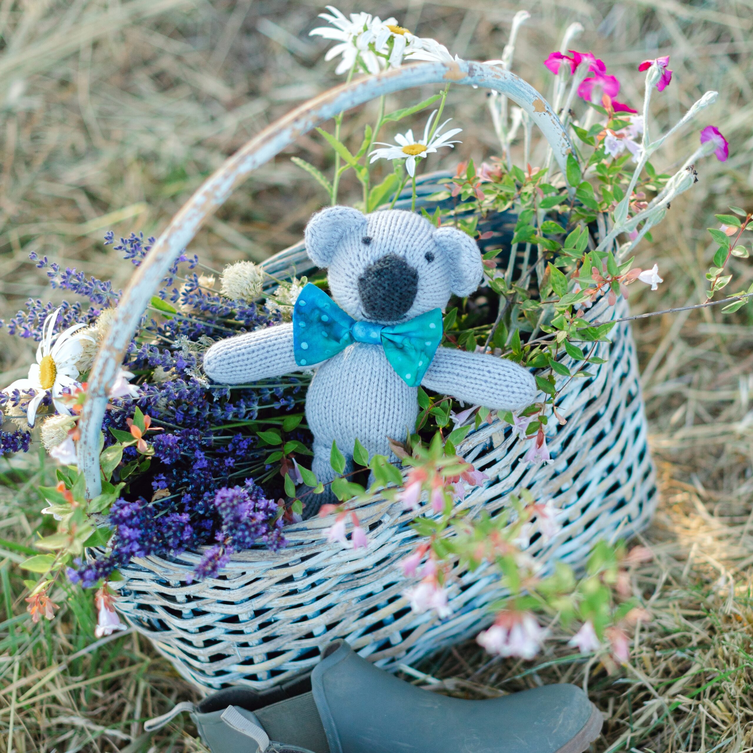 Baby Kenby - McLeod's Lavender